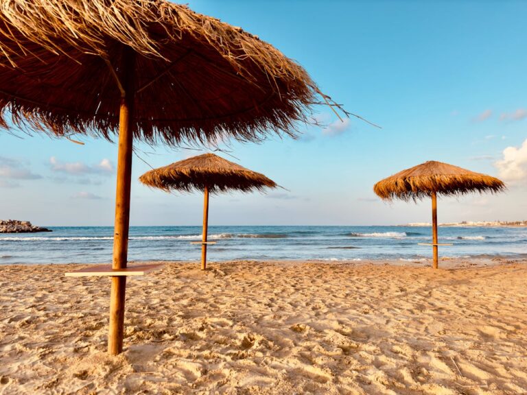 Corea del Sur recibe carta de Sheinbaum por BTS en México tras reclamos ...